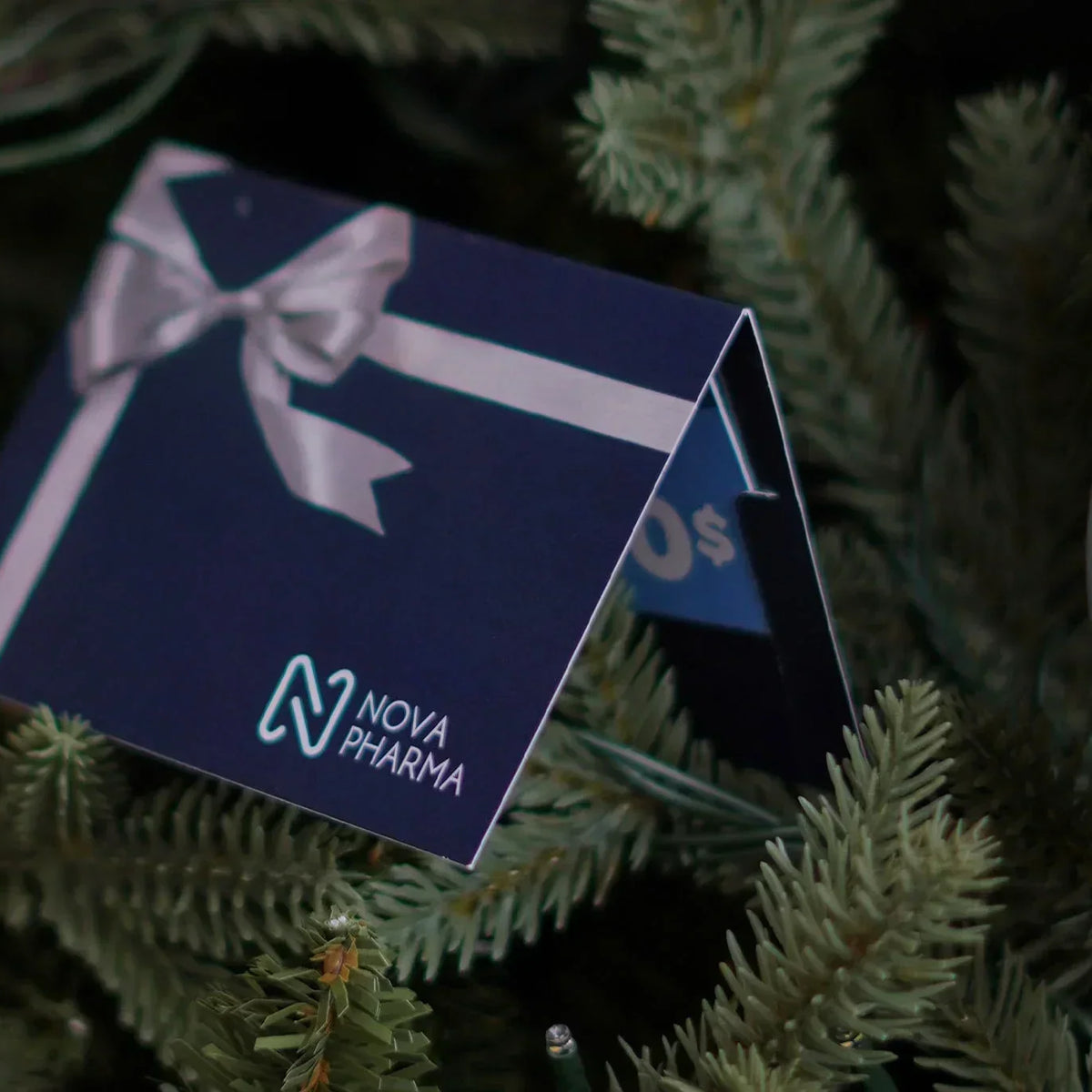 Nova Pharma | Blog - 2025 Health Resolutions: Tips for Sustainable ...